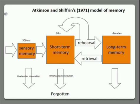 Psy Test Flashcards Quizlet