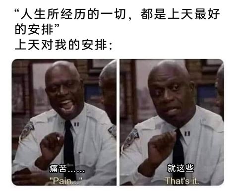 Meme梗图：请问有多余的便便袋吗？ 哔哩哔哩