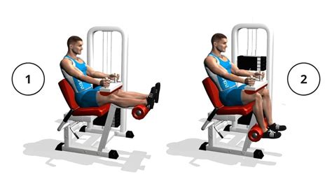 Leg Curl Hareketi İle Arka Bacaklarınız Alev Alsın Fitness Dergisi