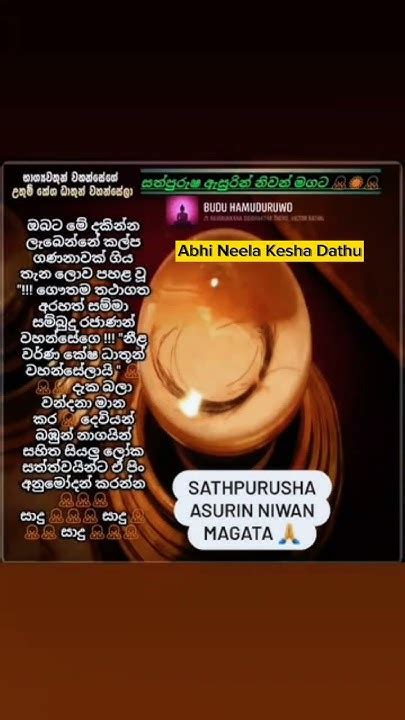 ගෞතම සම්බුදු රජාණන් වහන්සේගෙ අභිනීල කේශ ධාතූන් වහන්සේලා 🙏🙏🙏 Foryou Trending Viral Motivation