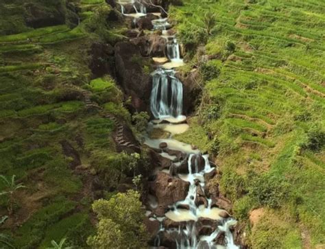 Candi Sewu Lokasi Akses Dan Harga Tiket Masuk 2024