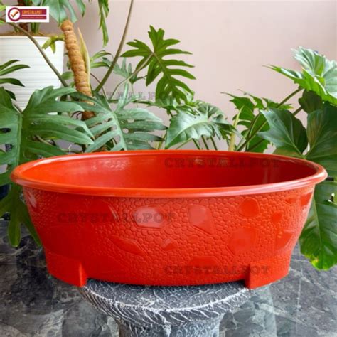Jual Pot Bunga Tanaman Bonsai Oval 50 Cm Bahan Tebal Bonsai Oval 10