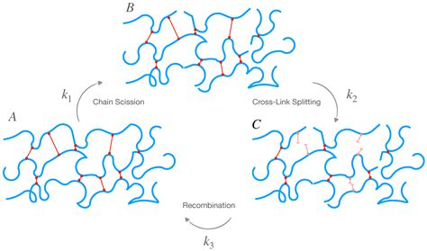 Is Stress Relaxation In Sea Cucumber Dermis Chemoelastic