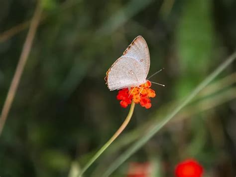 What Are Ecosystem Services And Its Types Sigma Earth