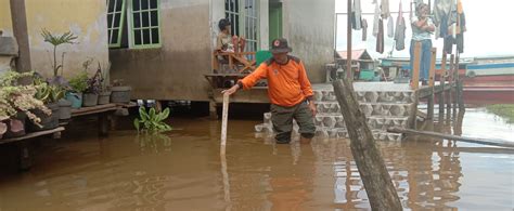 Banjir Rendam 3 Kecamatan Di Kabupaten Sintang Kalimantan Barat