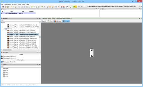 File Miner Cerbero Labs