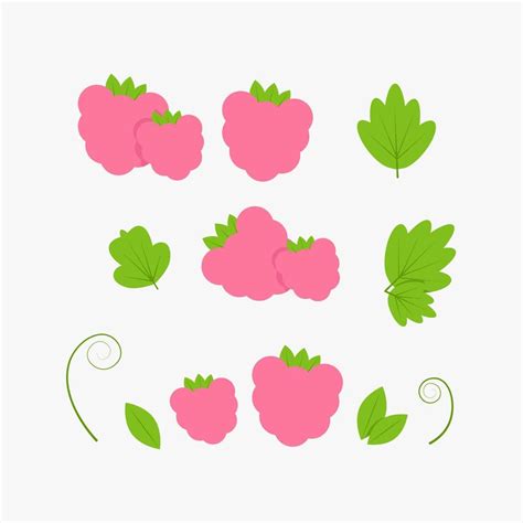 Set Of Pink Raspberries In Different Combinations And Green Raspberry