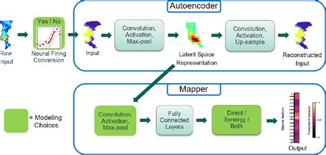 Figure 2 From Mapping Motor Cortex Stimulation To Muscle Responses A Deep Neural Network