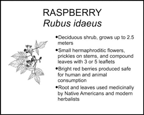 Raspberry Smart Garden Signs