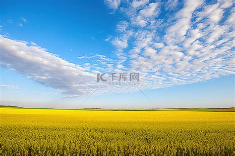 平坦的场地背景图片免费下载海报banner高清大图千库网图片编号6986017