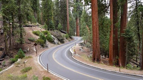 How To Travel From Los Angeles To Sequoia National Park
