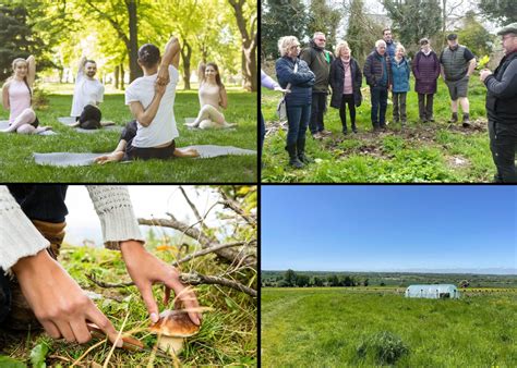 The Paddocks Kilbrew County Meath Causeway Planning