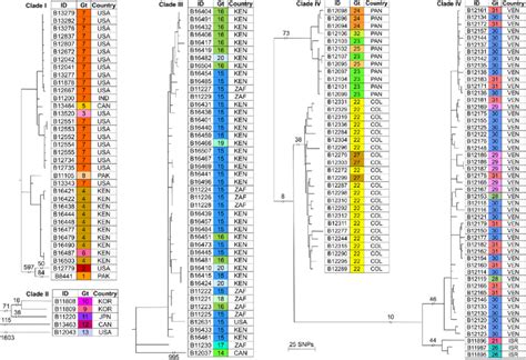 Comparison Of Genotypic Differences Of C Auris Isolates Determined Via