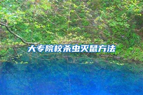 大专院校杀虫灭鼠方法 灭老鼠 除四害消杀灭虫网