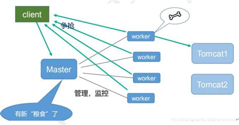 Nginx学习之路 Nginx工作流程（收藏向）nginx工作流程图 Csdn博客