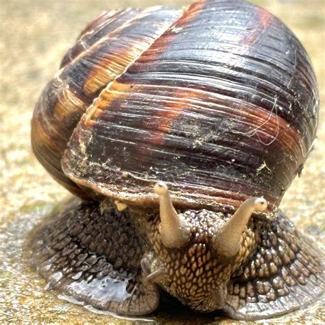 Приятелите ми са ВСИЧКО