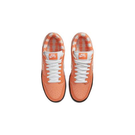 Nike Sb Dunk Low Concepts Orange Lobster Special Boxnike Sb Dunk Low