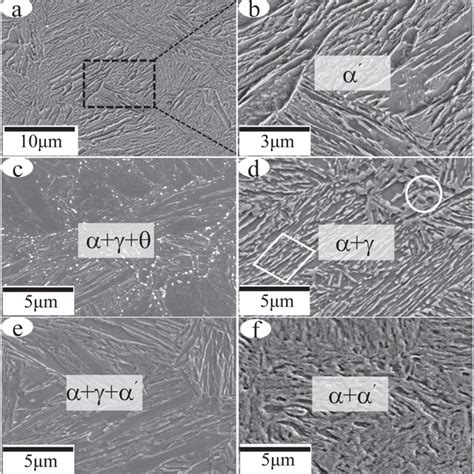 sem micrographs of microstructures after different treatments hot