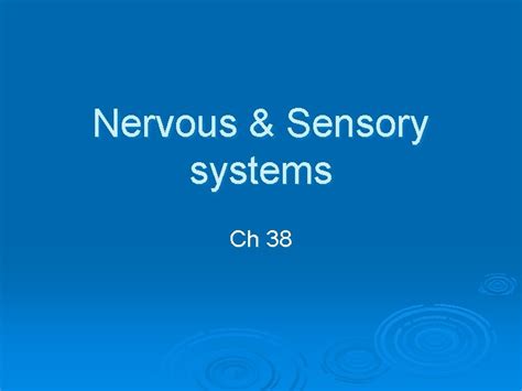 Nervous Sensory Systems Ch 38 2 Parts Of