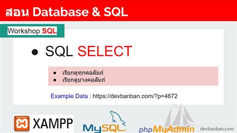 สอน sql select statment เรียกดูข้อมูลในตาราง บน phpmyadmin youtube