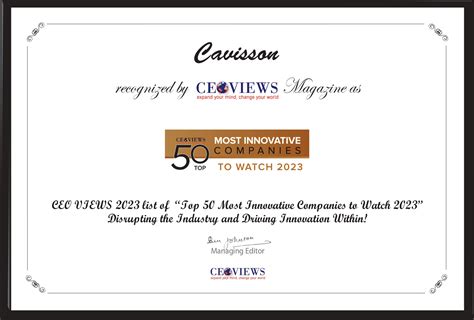 A Leading Airline Minimizes Revenue Pilferage With Cavisson Performance