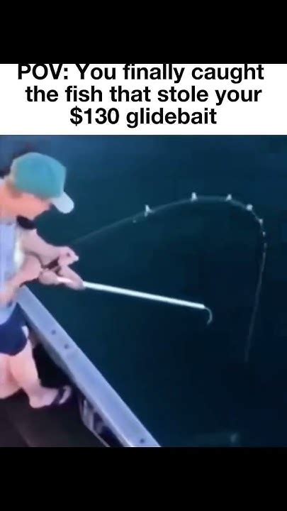 자동차의 성능 고속도로 주행의 안전성 Youtube