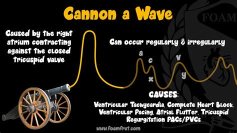 Foamfrat Cannon A Wave 🌊 The Cannon A Wave Or Cannon
