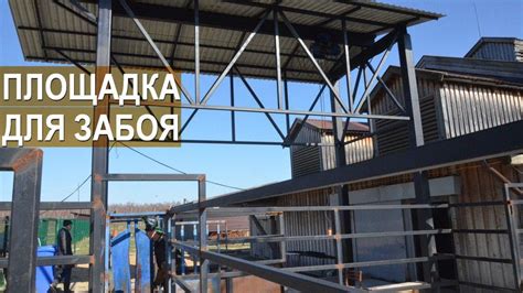 Площадка для забоя скота. Как происходит забой скота в экоферма ...
