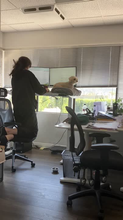 Video Maddy Berthold On Linkedin Architecture