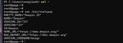 deepin在wsl上体验 mvpbang 博客园