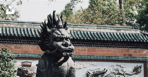 건물 앞에 있는 사자 동상 사진 Unsplash의 무료 사람의 이미지