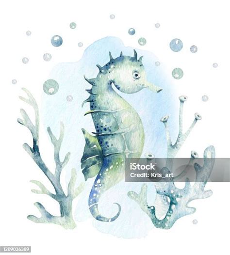 Ensemble Danimaux Marins Poissons Bleus Docéan Daquarelle Tortue