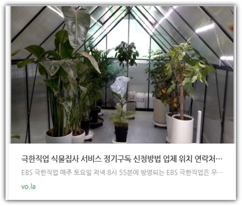 극한직업 유정란 정기구독 신청 방법 예약 연락처
