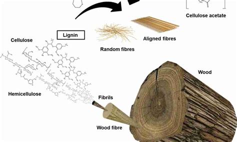 Lignin Green Agrochem