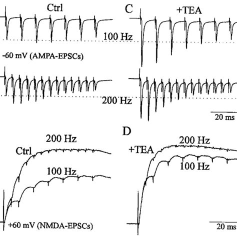 Multiple Release Events Are Required To Saturate Synaptic Nmda