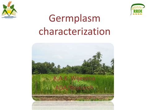Germplasm Characterizationppt