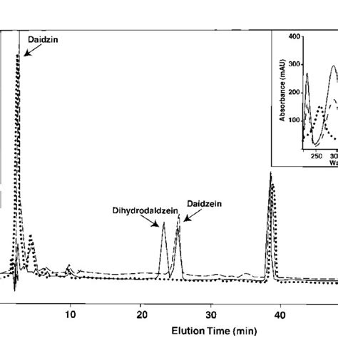 Hplc Elution Profile Of Daidzin After 7 Day Anaerobic Incubation With