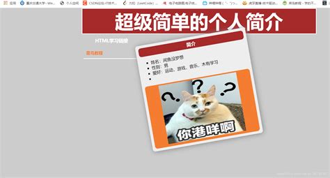 一个简单的个人介绍html网页制作 Csdn博客