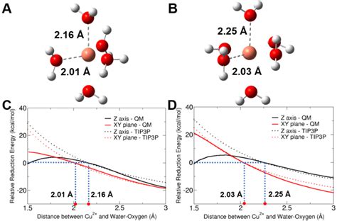 The Optimized Geometries Of The A Cu H2O 5 2 And B Cu H2O 6 2