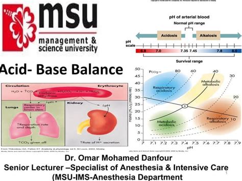 Acid Base Imbalance Ppt For Nurses Pptx Lung And Respiratory
