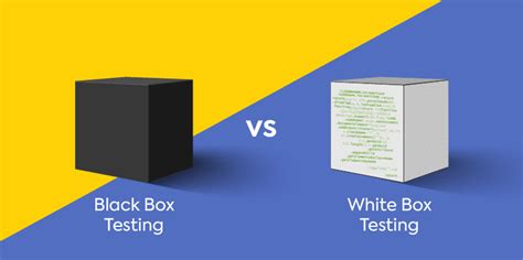 White Box Testing Guide