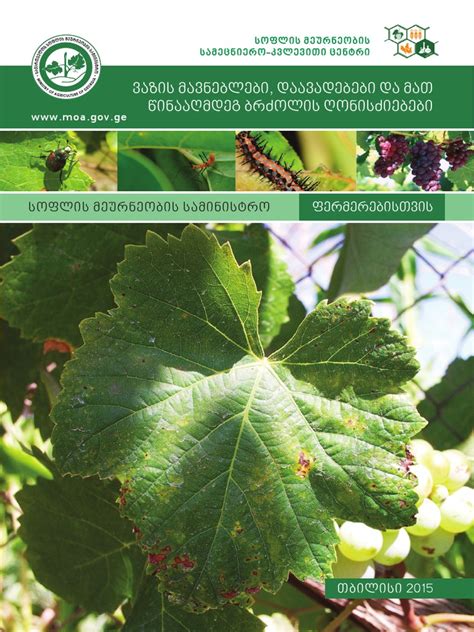 ვაზის მავნებლები Pdf