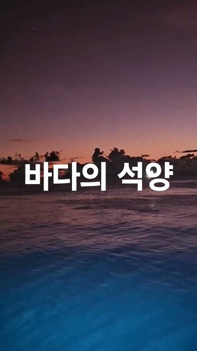 Sea 바다 석양 Youtube