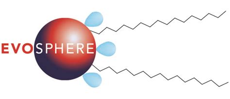 Aqua Evosphere Fortis Technologies Hplc Columns