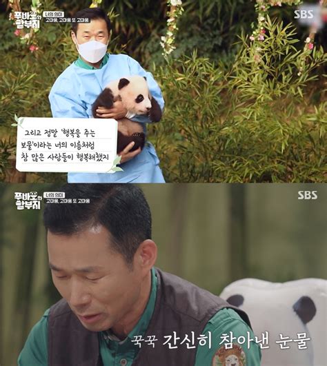 내 영원한 아기 판다강철원 사육사 푸바오 작별 앞두고 뭉클
