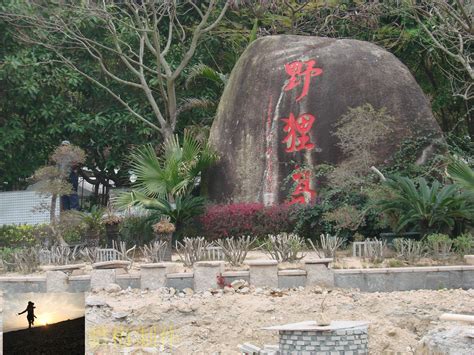 2023野狸岛游玩攻略这座金灿灿的雕像是非常吸引【去哪儿攻略】