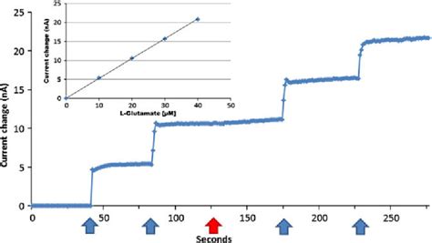 Figure 3 From Simultaneous Real Time Measurement Of Eegemg And L