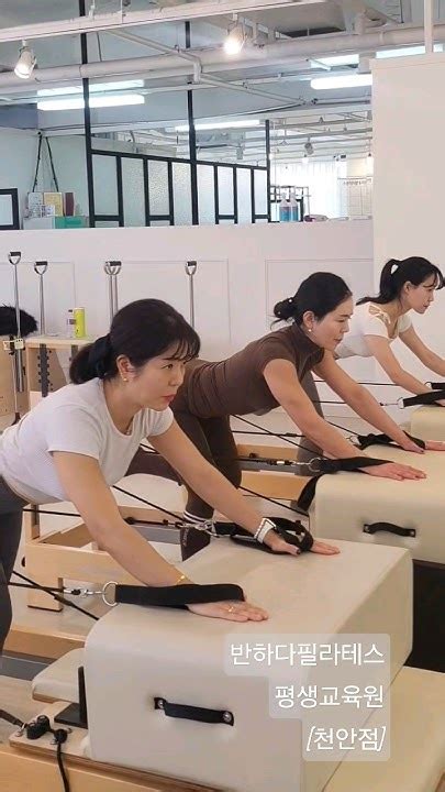 리포머 Reformer 반하다필라테스평생교육원 공부하는필라테스원장 리포머숏팍스 리포머시퀀스 Youtube
