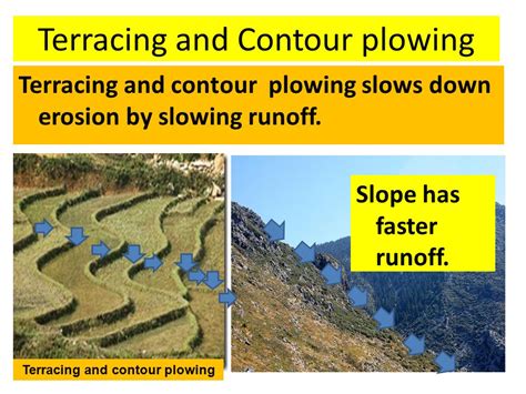 Contour Farming And Terracing