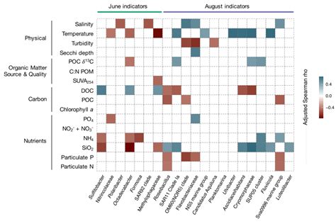 Heatmap Showing Significant Spearman Correlations Adjusted Spearman